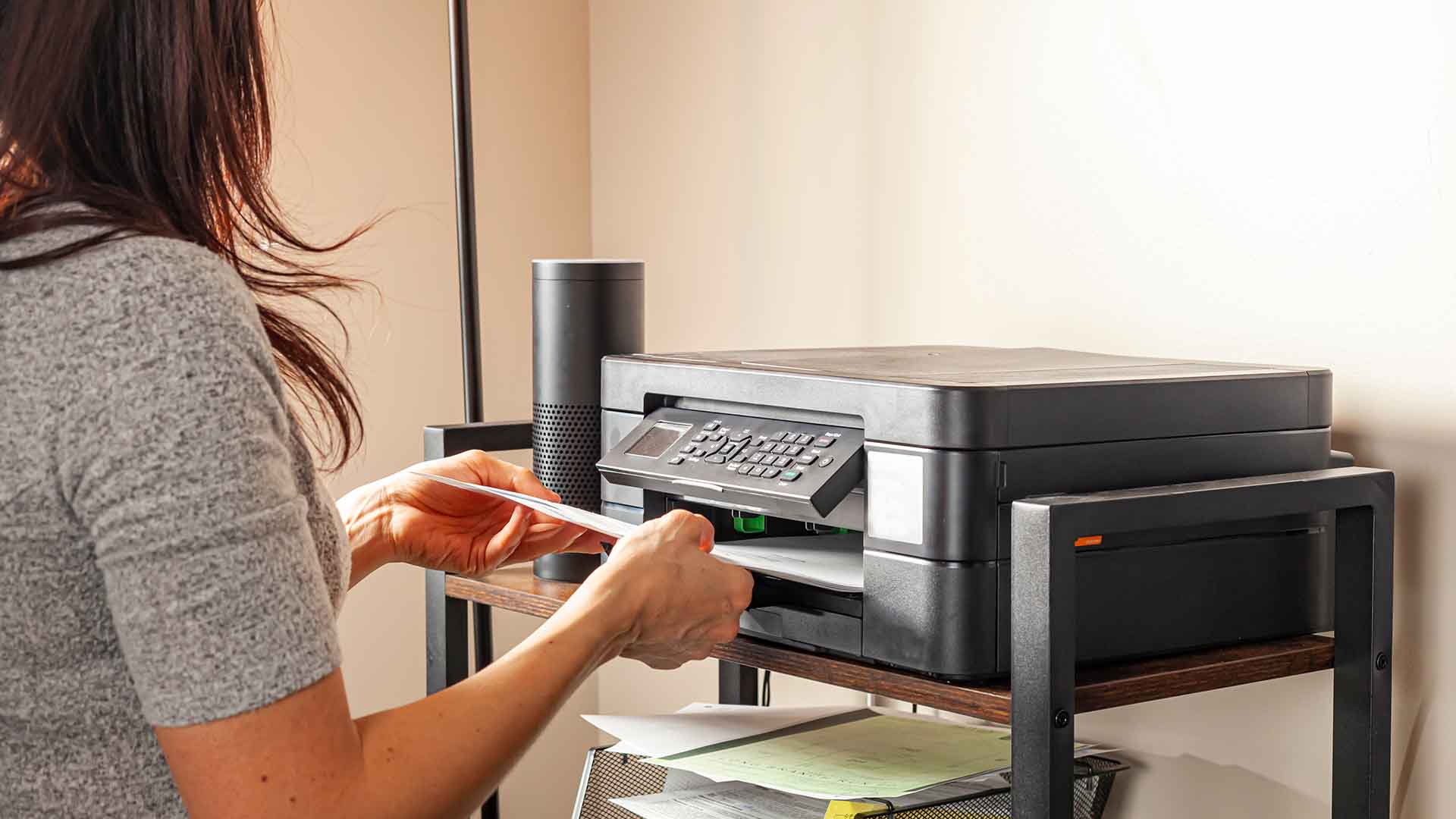 View or Print Your Current Collection Calendar | Raleighnc.gov