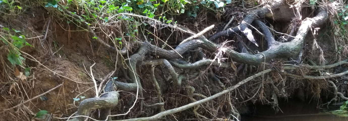 Bells Valley Stream Repair | Raleighnc.gov