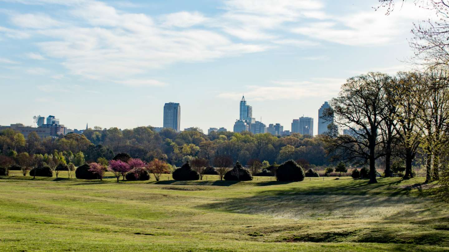 The Dix Park Community Committee | Raleighnc.gov