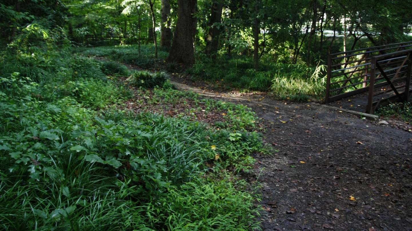 Edna Metz Wells Park | Raleighnc.gov
