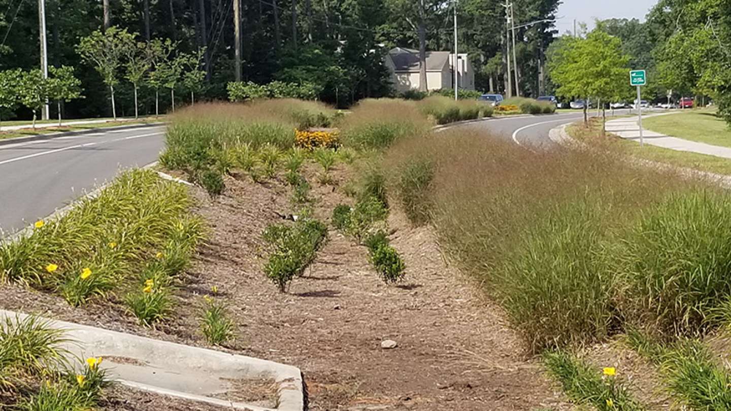 Projects | Raleighnc.gov