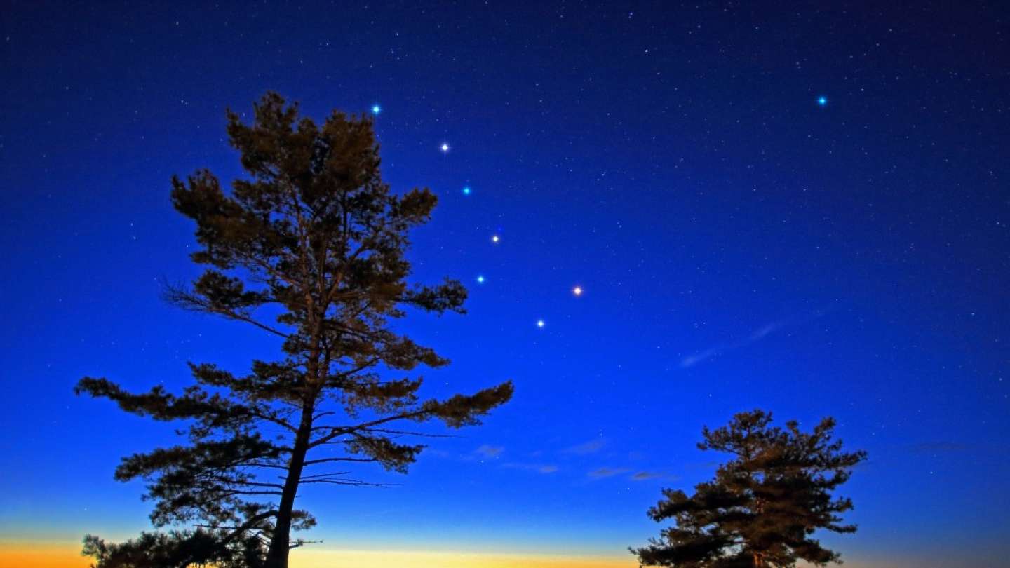 How to Read Nature Like a Compass | Raleighnc.gov