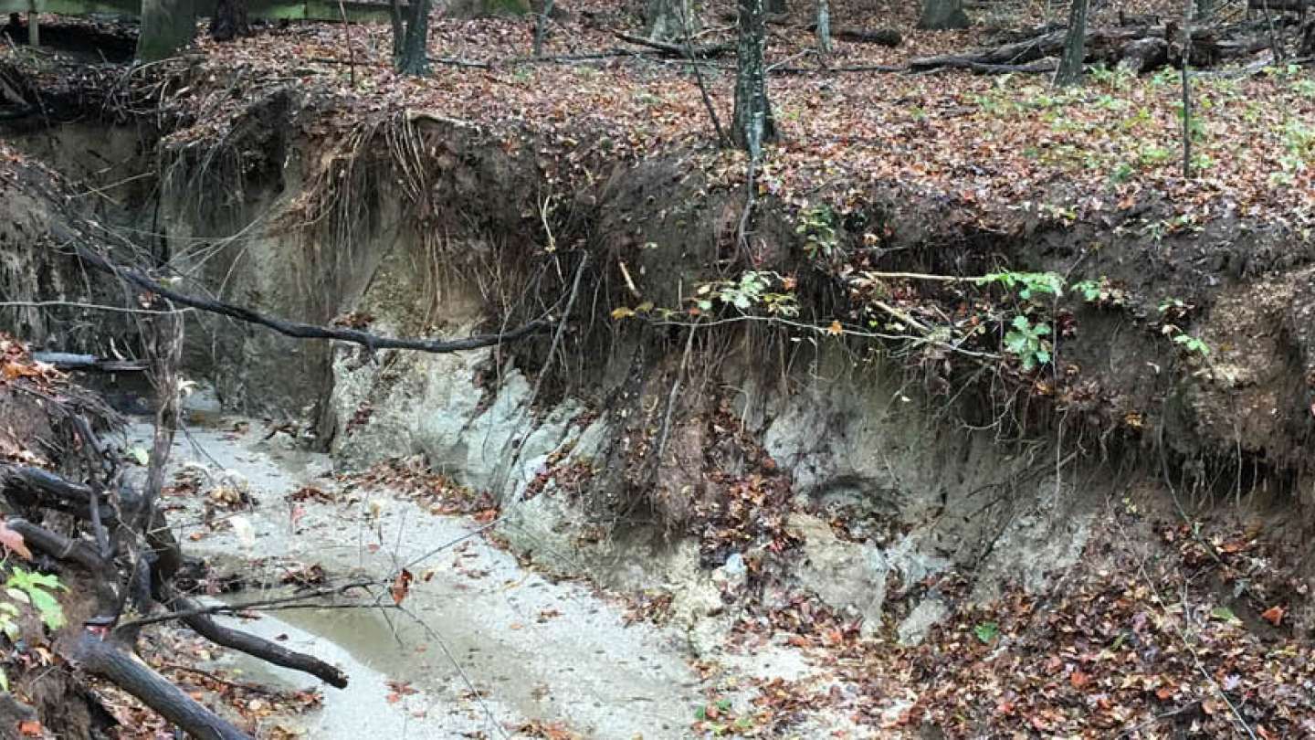 Residential Stormwater FAQs | Raleighnc.gov