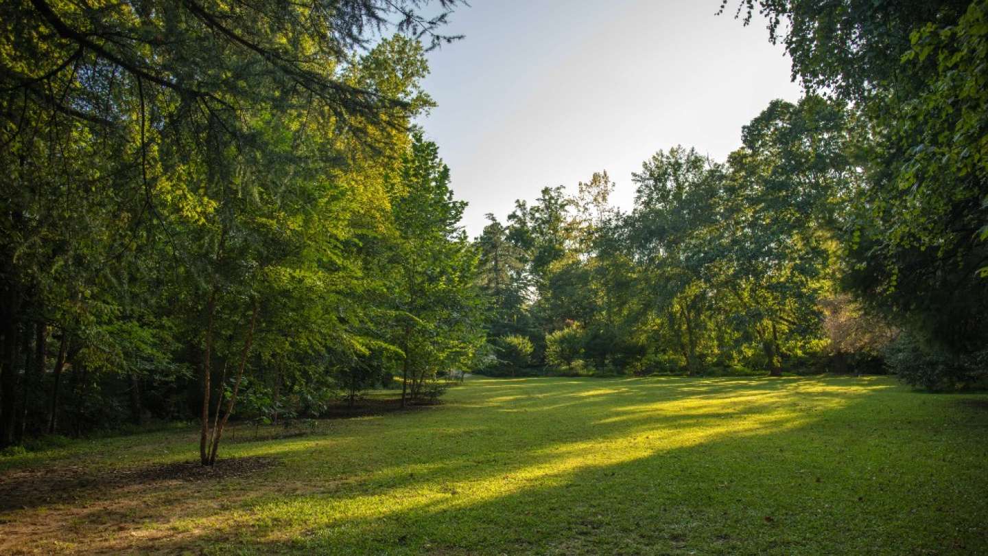 Fallon Park | Raleighnc.gov