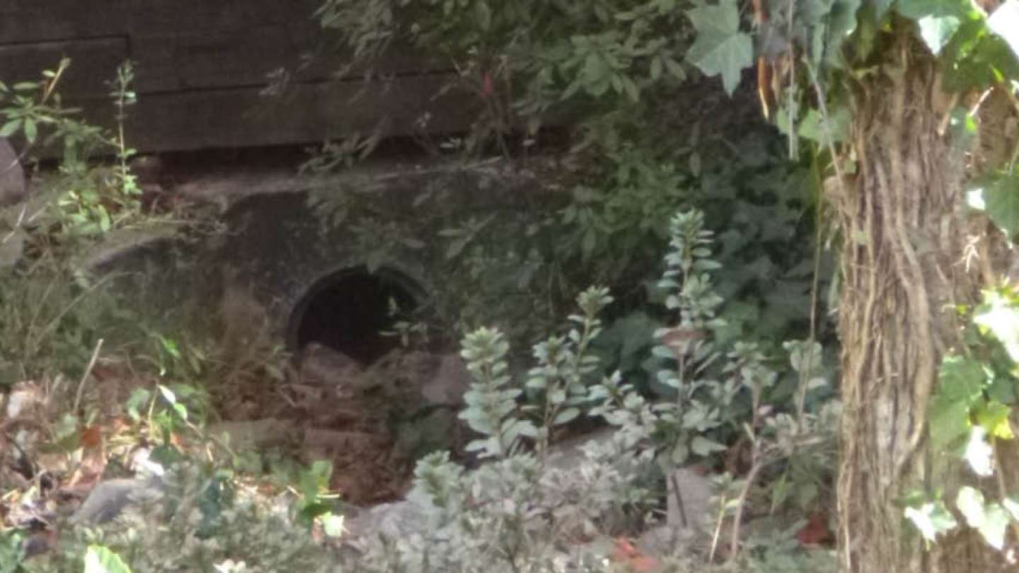 Residential Properties and Drainage Easements | Raleighnc.gov