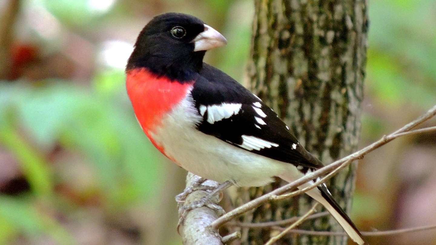 Climate Action and Sustainability | Raleighnc.gov