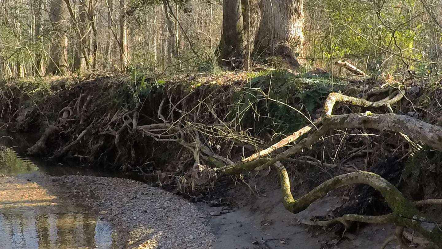 Raleigh e-Builder Tutorials | Raleighnc.gov