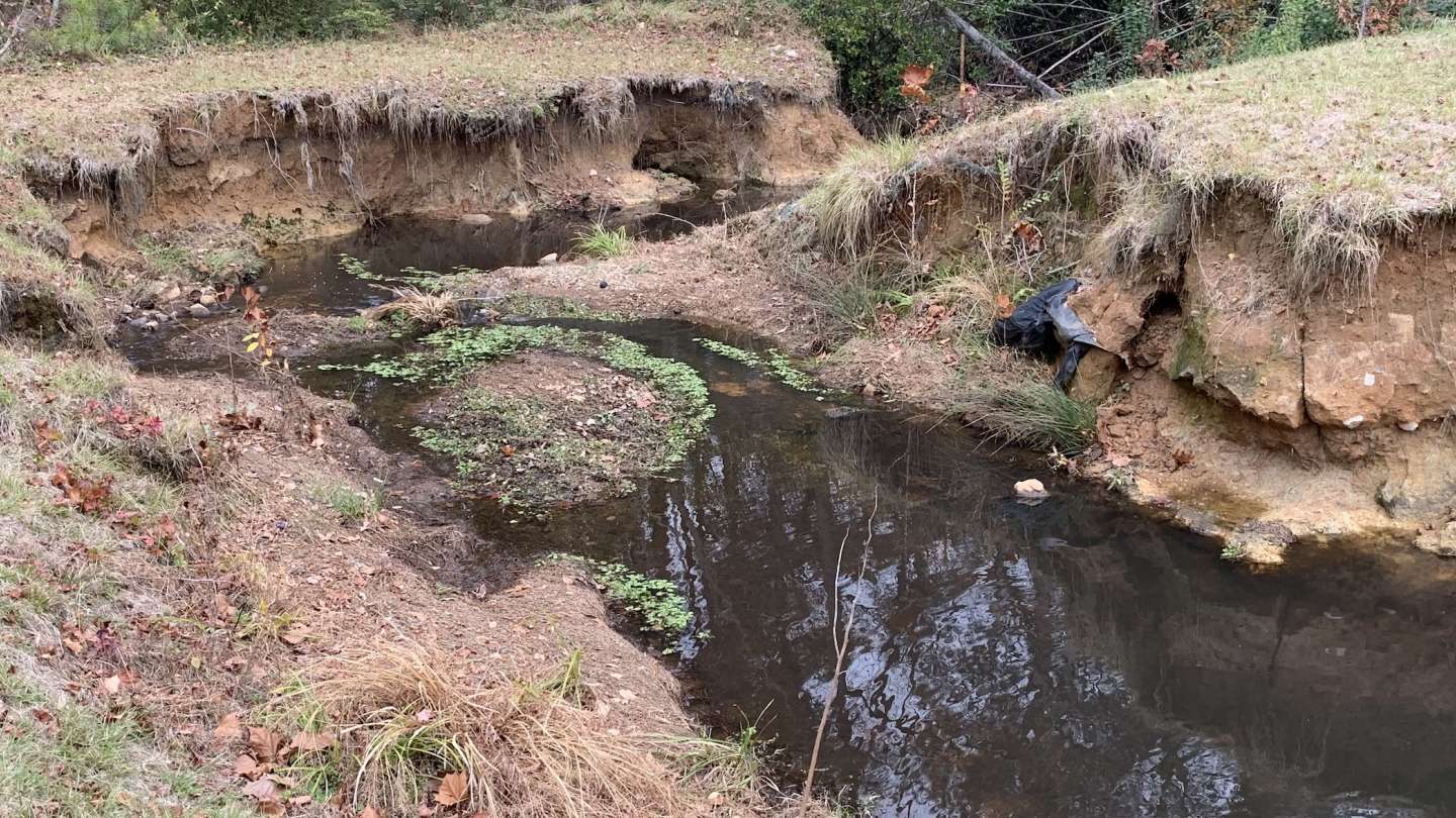 Stormwater for Residential Homeowners | Raleighnc.gov