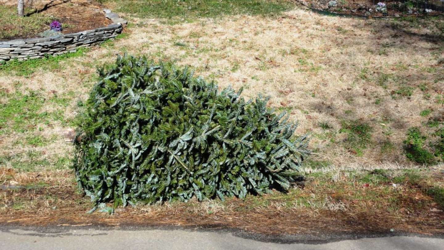 Landfill and Reuse | Raleighnc.gov