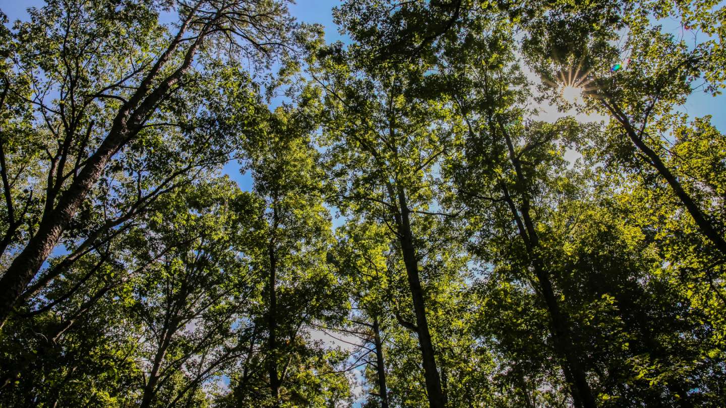 Projects | Raleighnc.gov