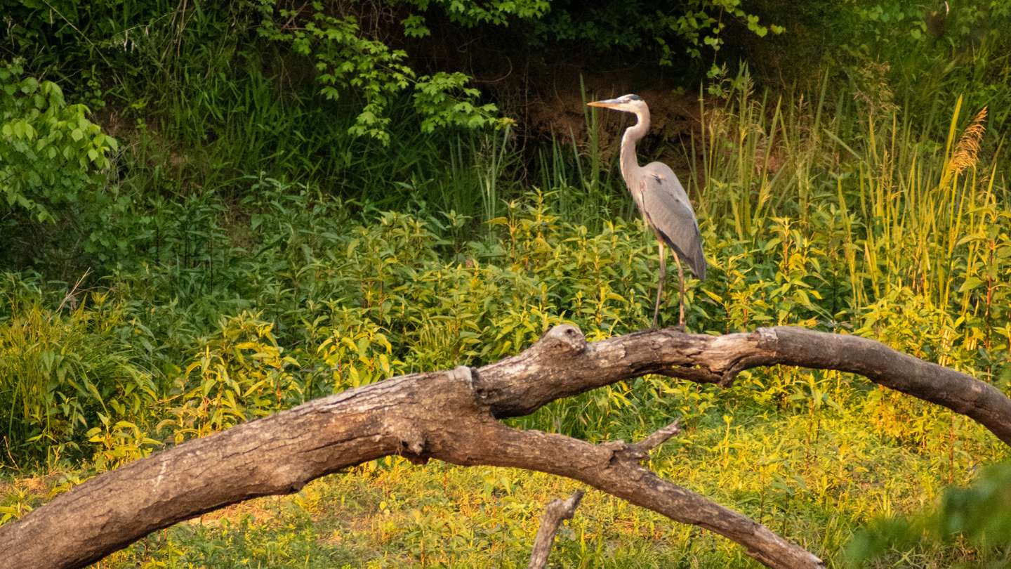 News | Raleighnc.gov