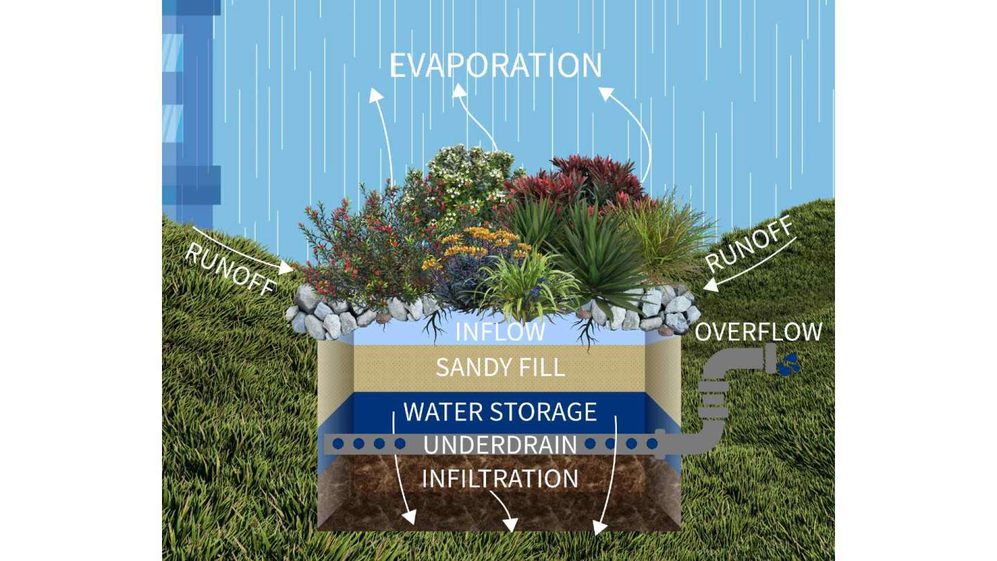 Artist Call for Creative Stormwater Education Project | Raleighnc.gov