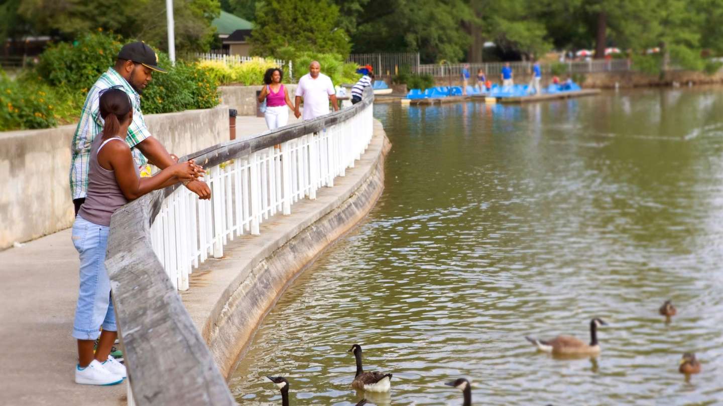 Raleigh’s Next Comprehensive Plan | Raleighnc.gov