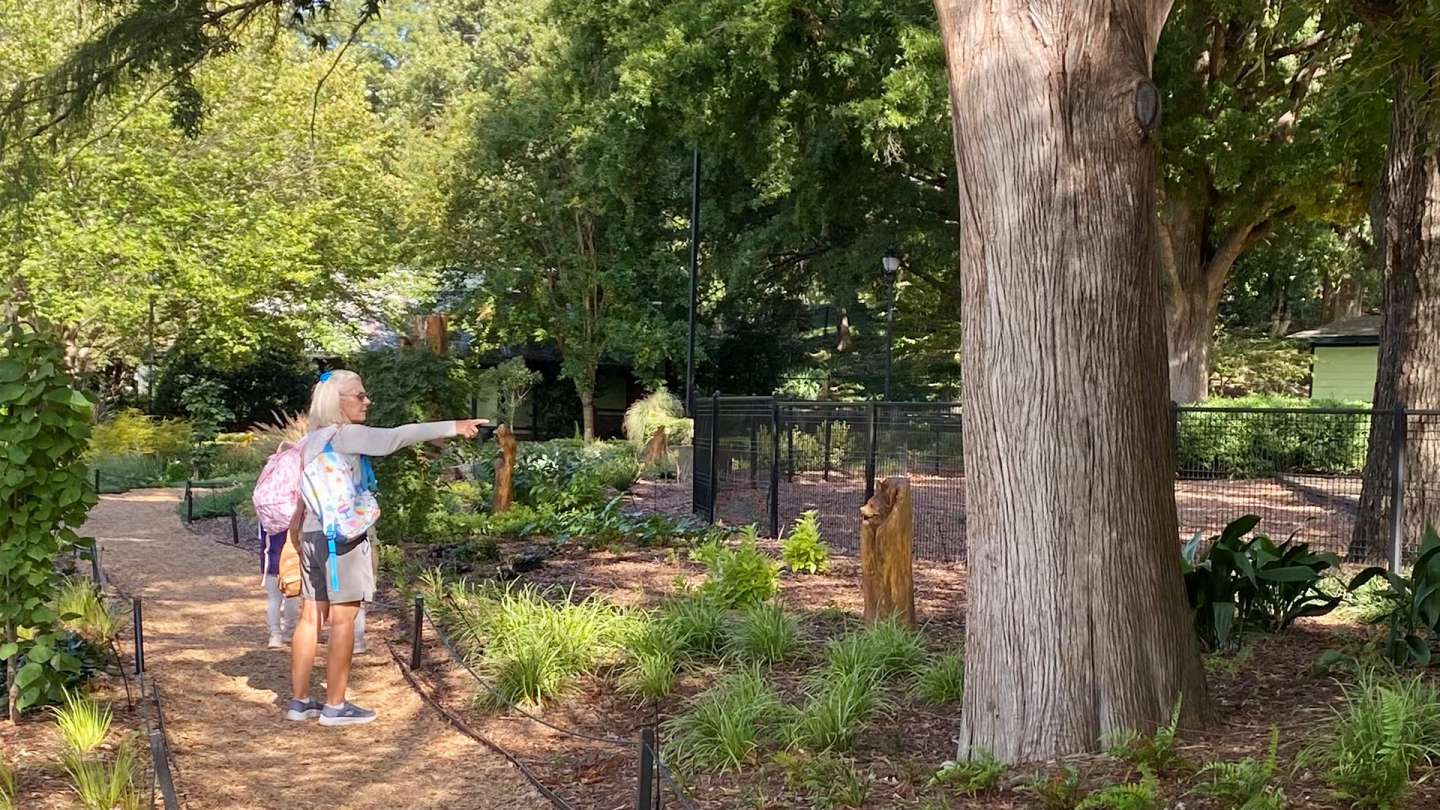 Parks and Recreation | Raleighnc.gov