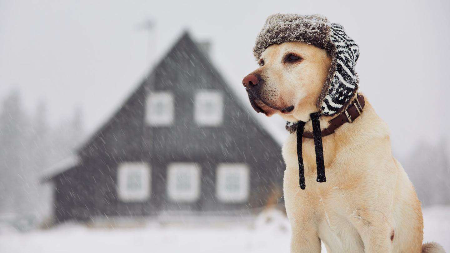 Solid Waste Services | Raleighnc.gov