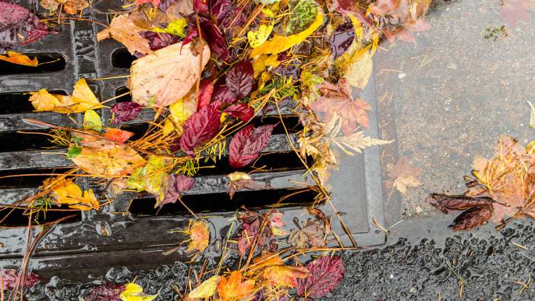 Preventing Yard Waste from Entering Storm Drains | Raleighnc.gov