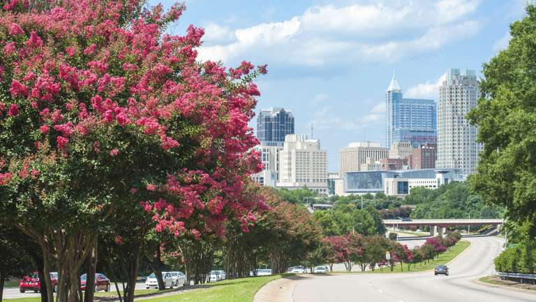 2030 Comprehensive Plan | Raleighnc.gov