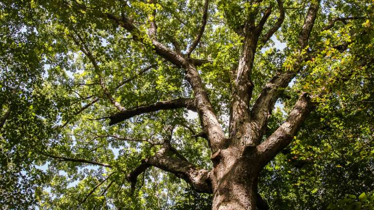 News | Raleighnc.gov