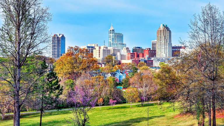 Tree Preservation and Planting (TC-2-22) | Raleighnc.gov