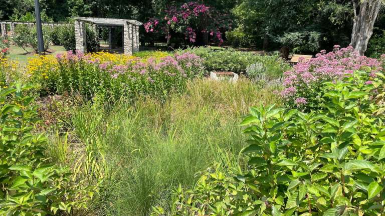 John Chavis Memorial Park | Raleighnc.gov