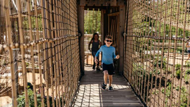 A Decade of Impressions At Dix | Raleighnc.gov