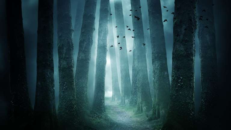 Method Community Park | Raleighnc.gov