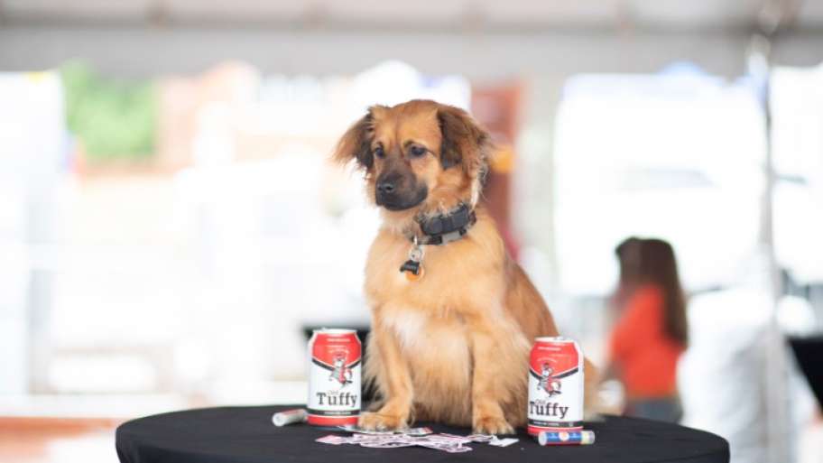 Special One-Time Alcohol Permit for Special Events | Raleighnc.gov