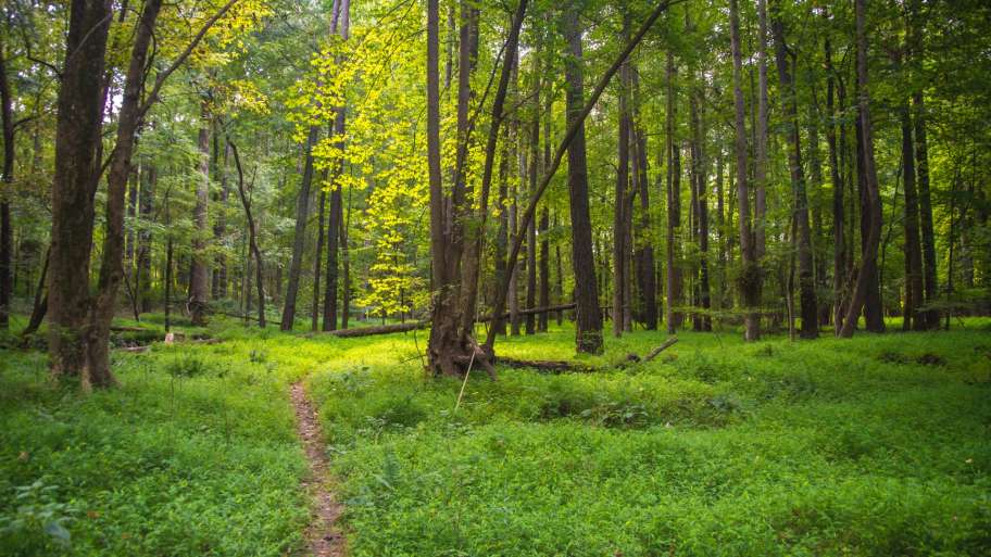 Nature Programs for Groups | Raleighnc.gov