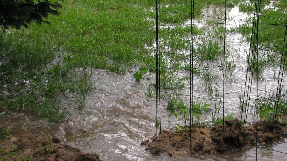 Know Your Flood Risks | Raleighnc.gov