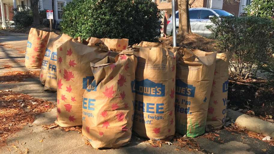 Optional Methods for Leaf Disposal | Raleighnc.gov