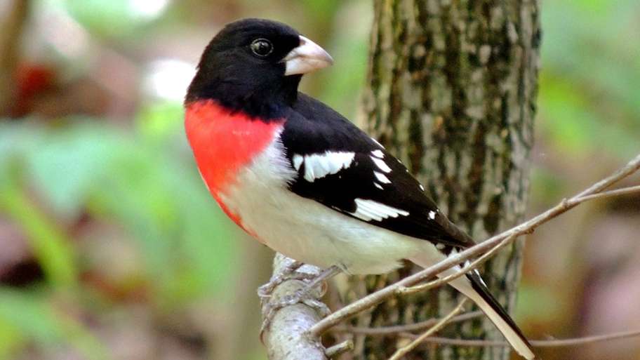 Sustainability | Raleighnc.gov