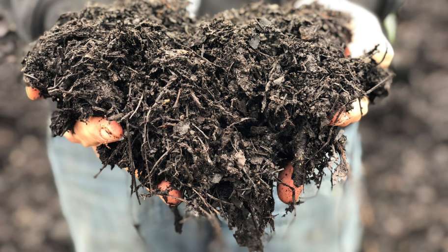 Solid Waste Services | Raleighnc.gov