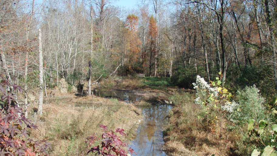 Artist Calls | Raleighnc.gov