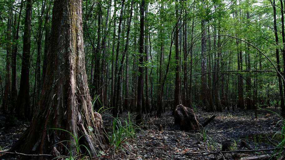 Lake Johnson Park | Raleighnc.gov