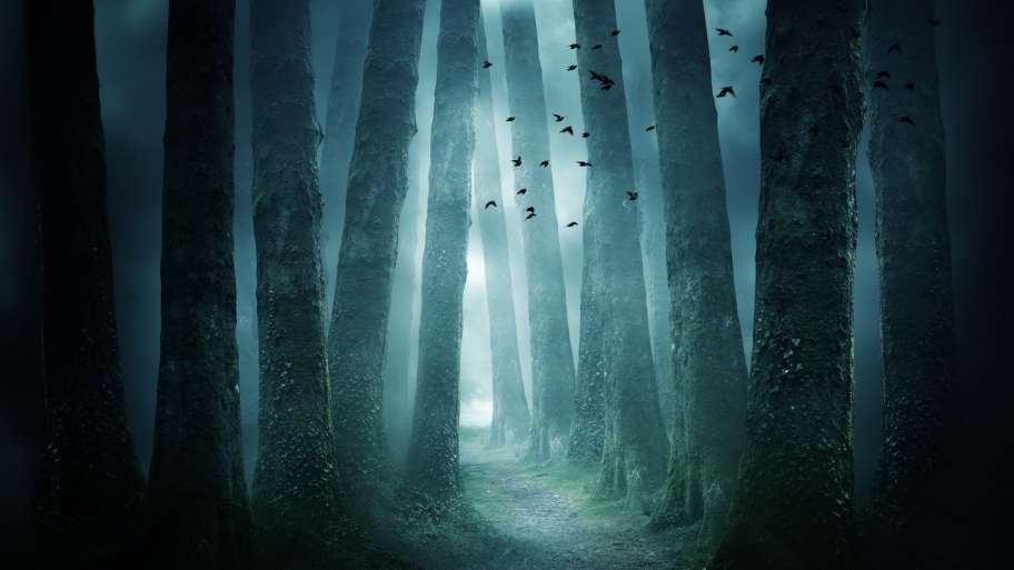 Method Community Park | Raleighnc.gov