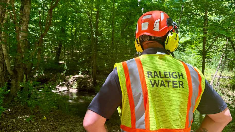 Water | Raleighnc.gov
