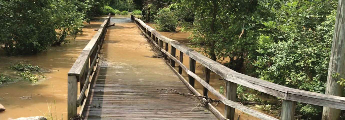 Rose Lane Safe Access Flood Resilience Project | Raleighnc.gov