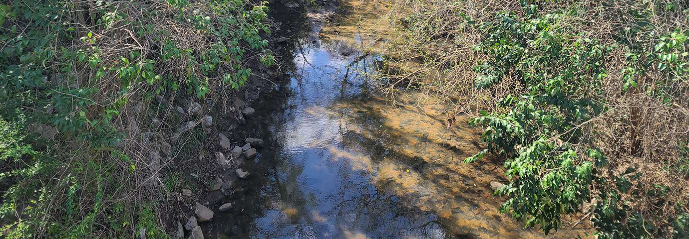 Pigeon House Branch Watershed Study | Raleighnc.gov