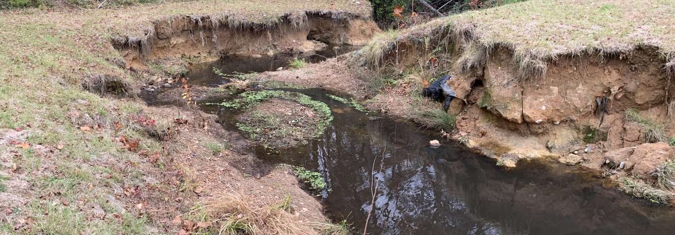 Lower Longview Streambank Stabilization | Raleighnc.gov