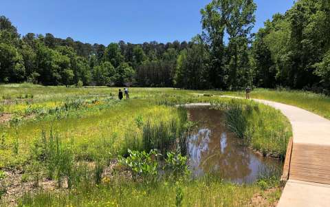 Stormwater | Raleighnc.gov
