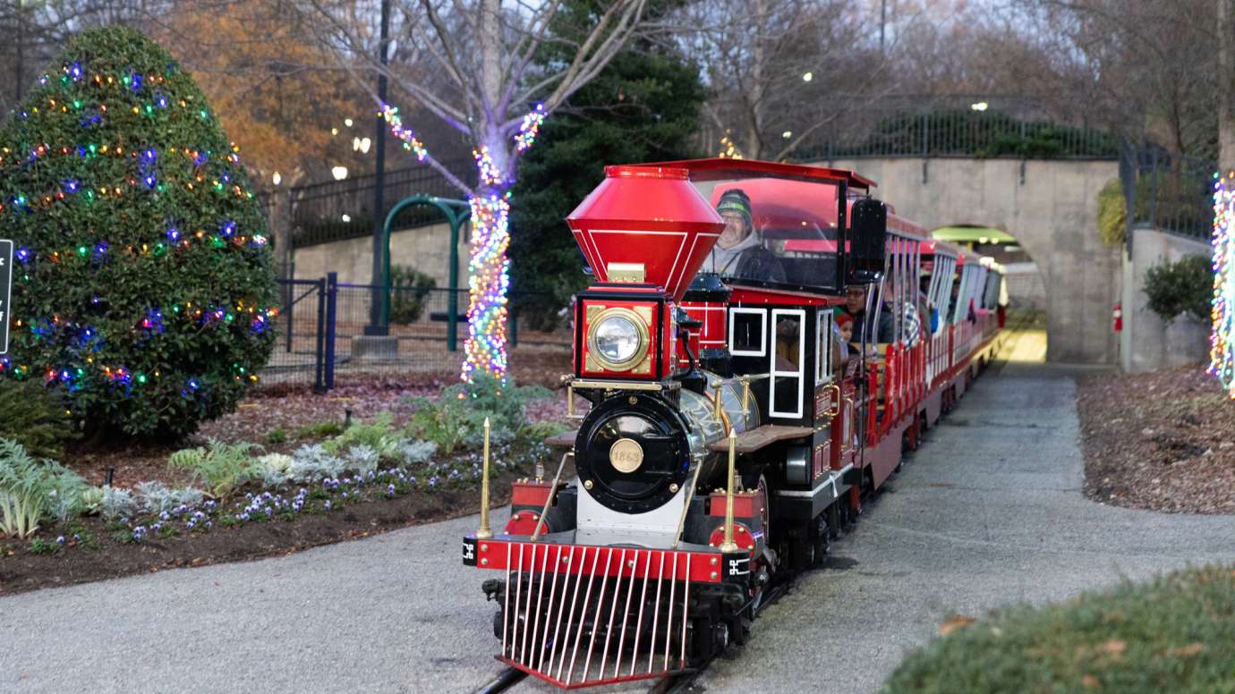 holiday-express-raleighnc-gov