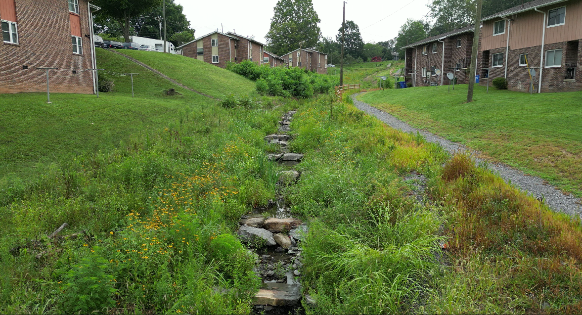 Climate Action and Sustainability | Raleighnc.gov