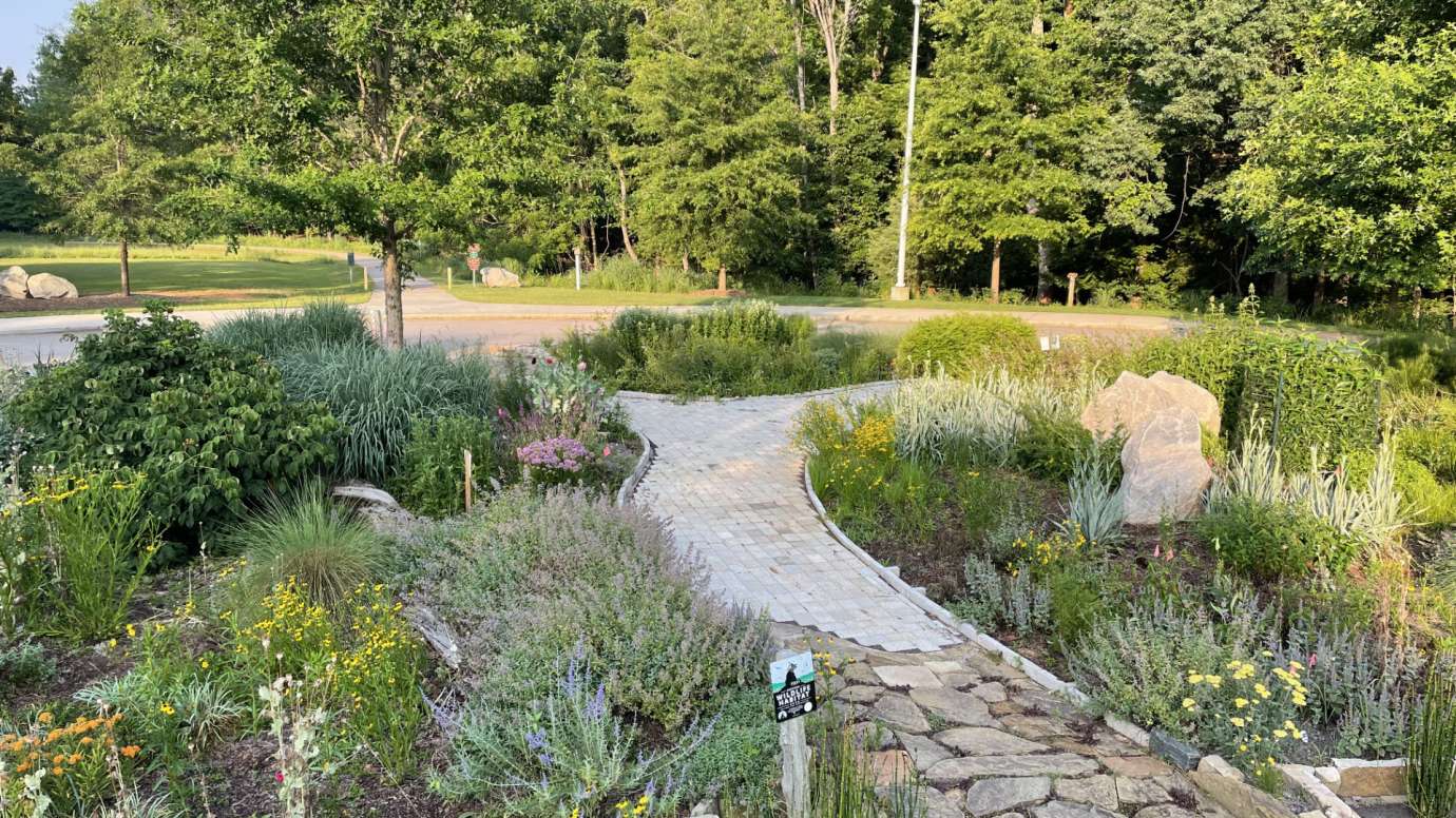 Pollinator Protection Program | Raleighnc.gov