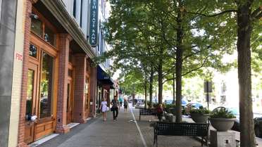 Urban Forestry Program | Raleighnc.gov