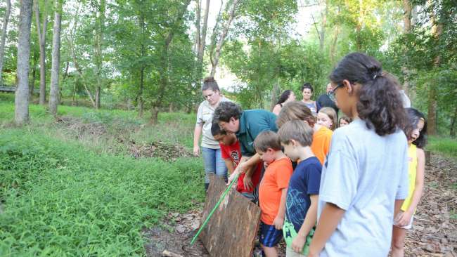 Nature Programs For Groups Raleighnc gov nature-programs-for-groups-raleighnc-gov