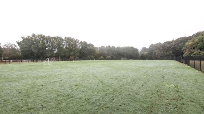 Peter Williams Park | Raleighnc.gov