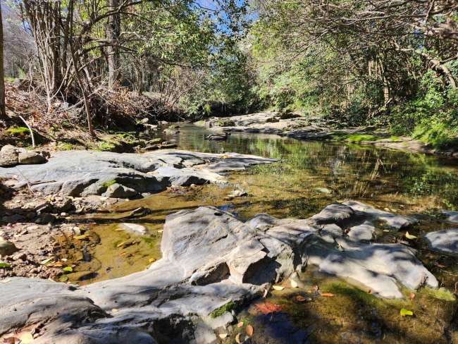 Rocky Branch & Central Walnut Creek Watershed Study | Raleighnc.gov