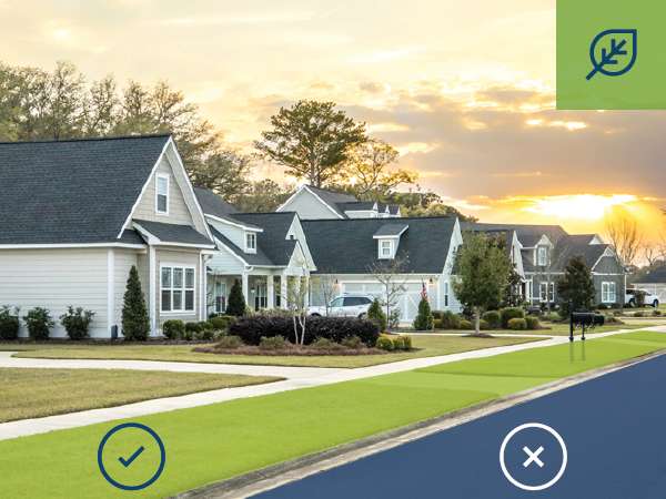 Seasonal Loose Leaf Collection | Raleighnc.gov