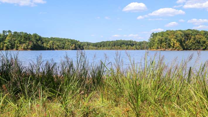 Outdoor Recreation | Raleighnc.gov