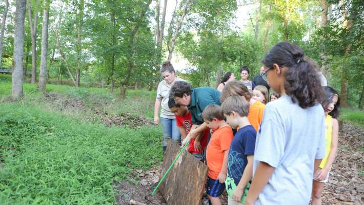Nature Programs for Groups | Raleighnc.gov